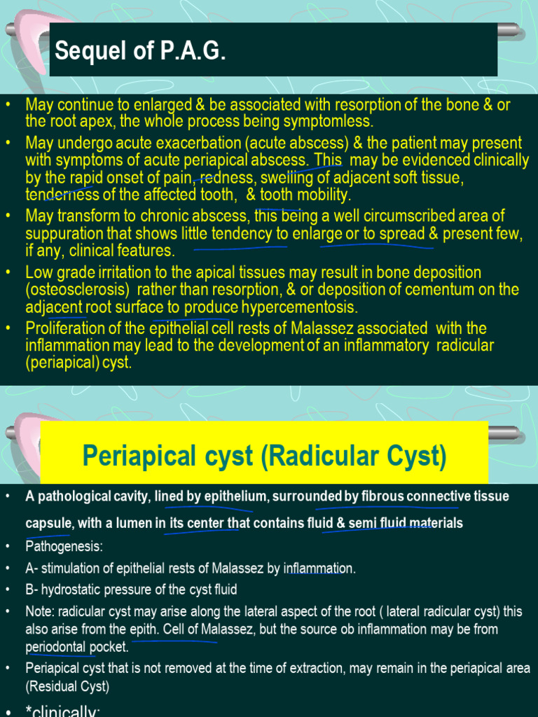 Understanding Periapical Cysts and Abscesses | PDF