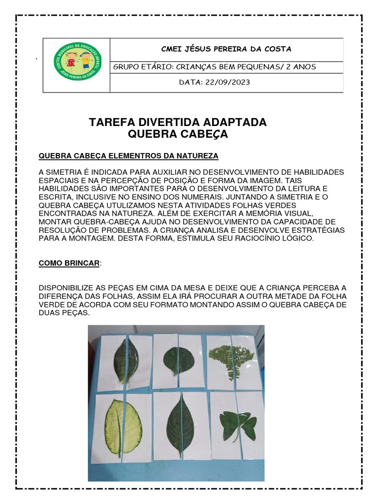 Atividade Adaptada Simetria de Folhas | PDF