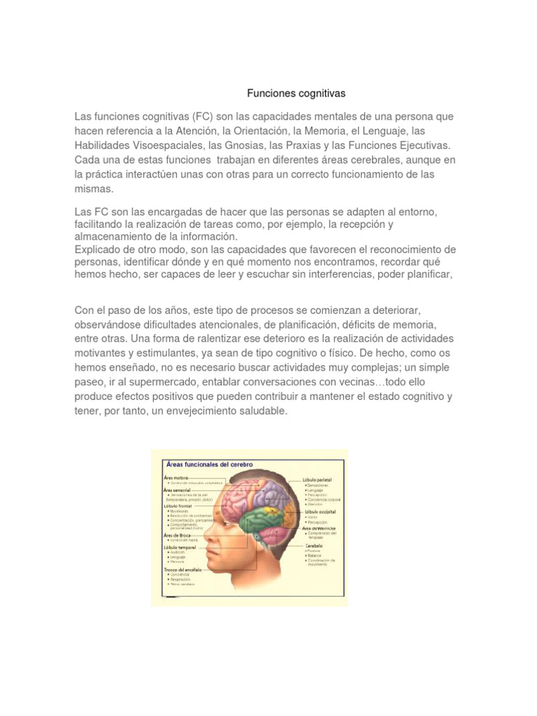 Funciones cognitivas | PDF | Memoria | Atención