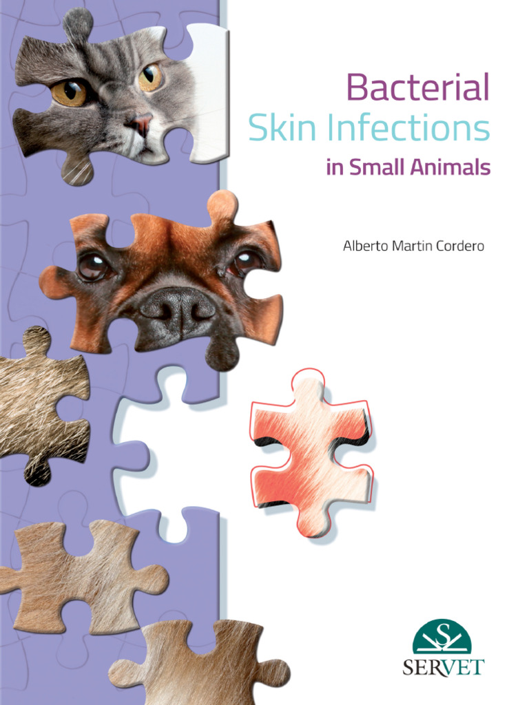 Bacterial Skin Infections in Small Animals | PDF | Cytopathology ...
