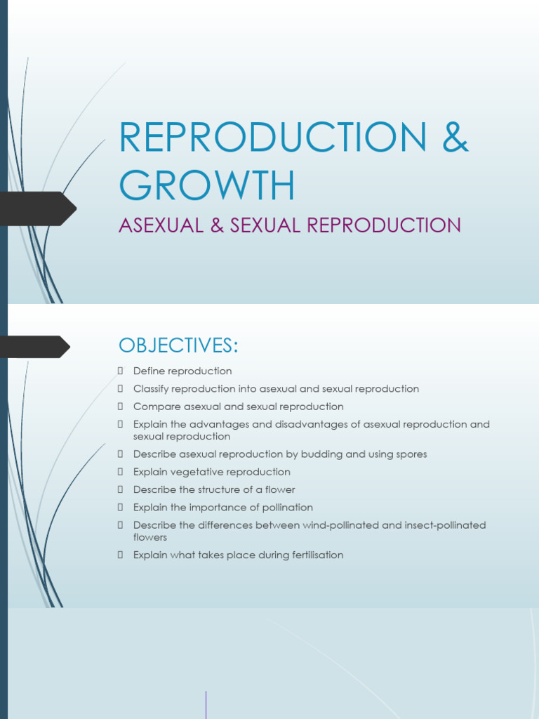 Asexual Vs Sexual Reproduction (S) | PDF | Sexual Reproduction | Reproduction