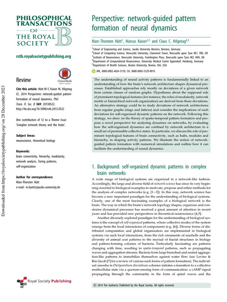 Hütt Et Al 2014 Perspective Network Guided Pattern Formation of Neural Dynamics | PDF | Brain ...