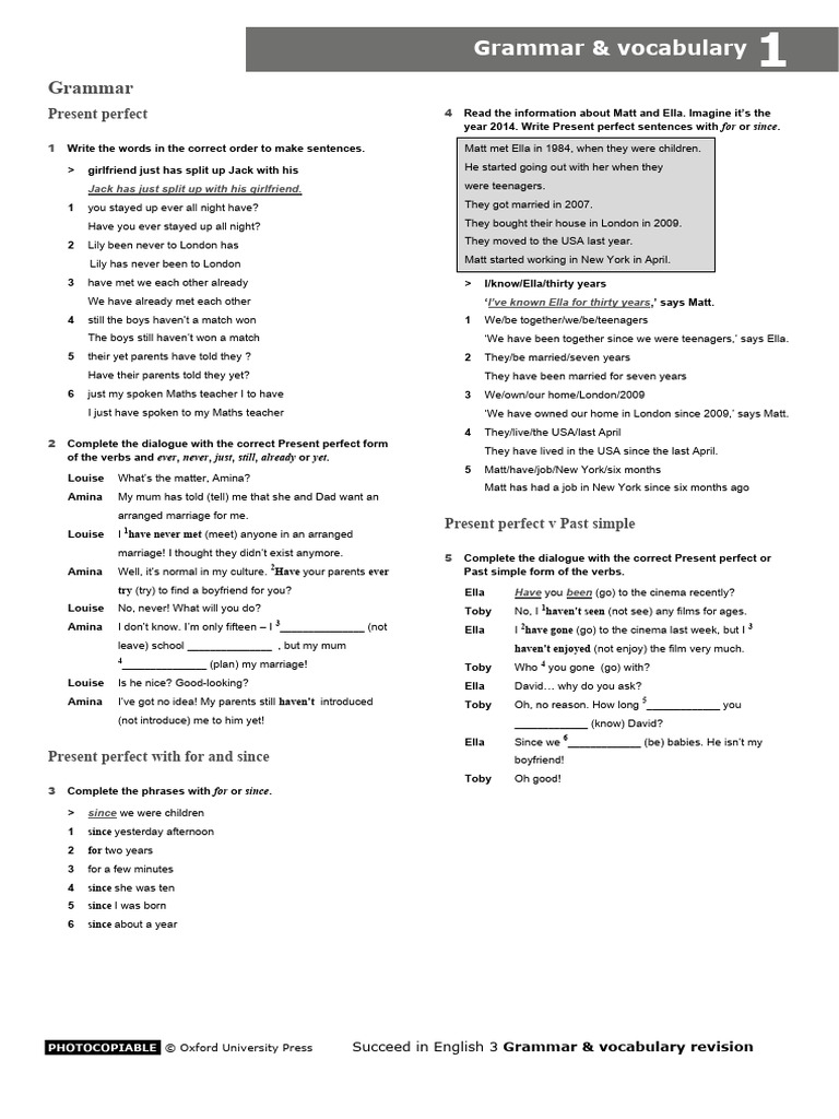 Present Perfect Grammar Exercises | PDF | English Language
