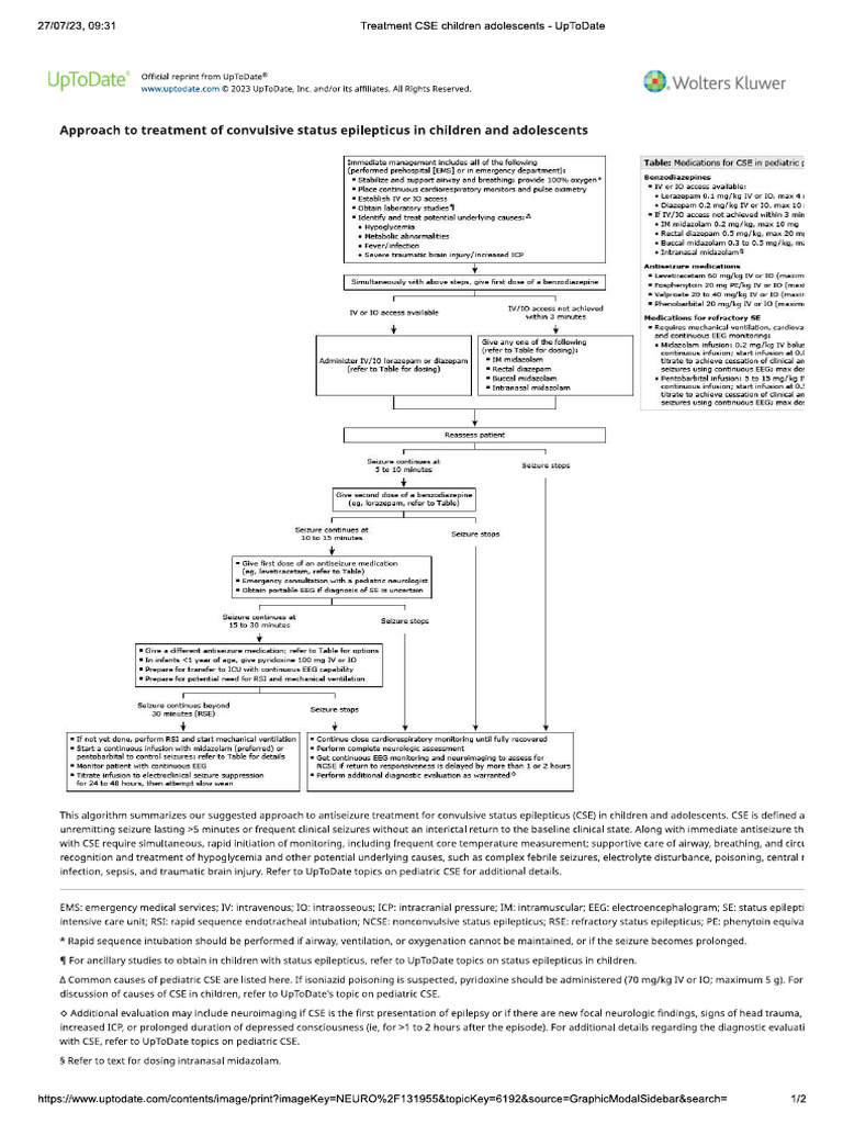 Approach To Treatment of Convulsive Status Epilepticus in Children and ...