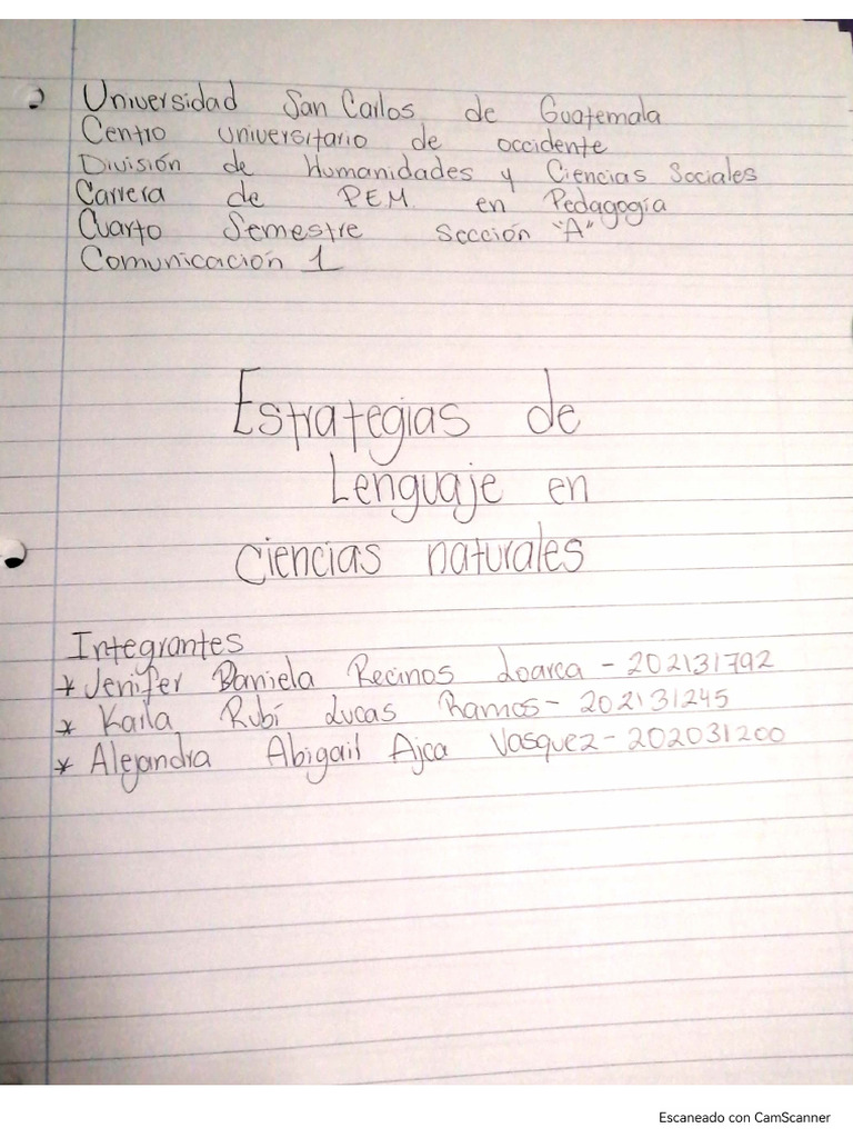 Estrategias de Lenguaje | PDF