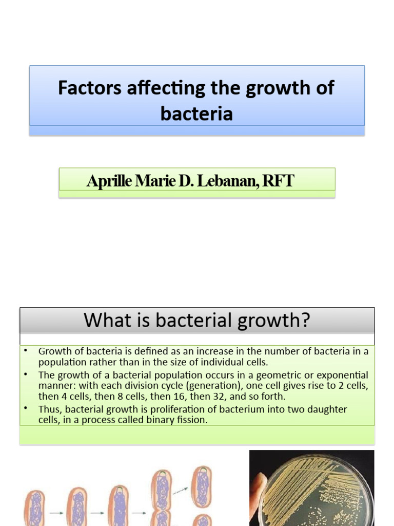 Factors Affecting Bacterial Growth | PDF