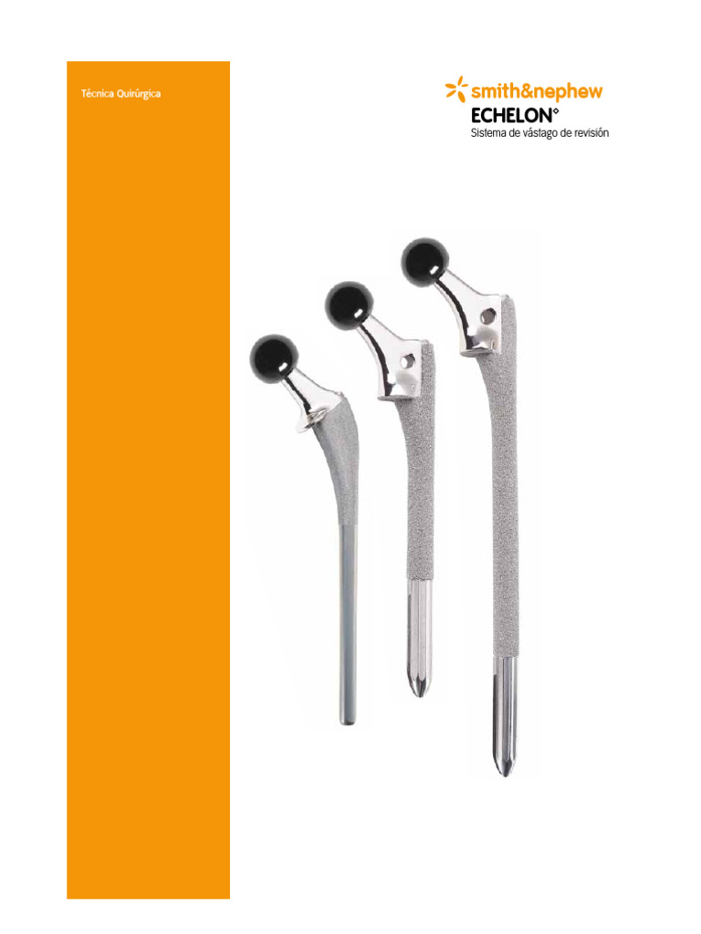 Smith & Nephew Hip | PDF | Hueso