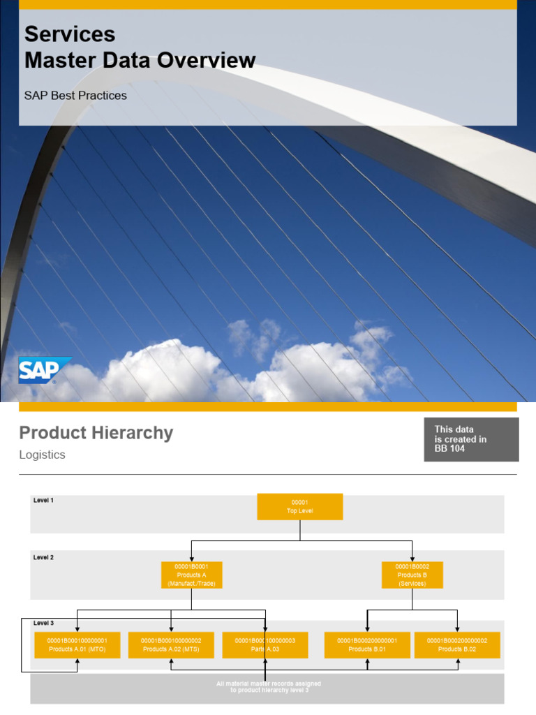 Master Data Scope Overview Services BL ERP607 en | PDF