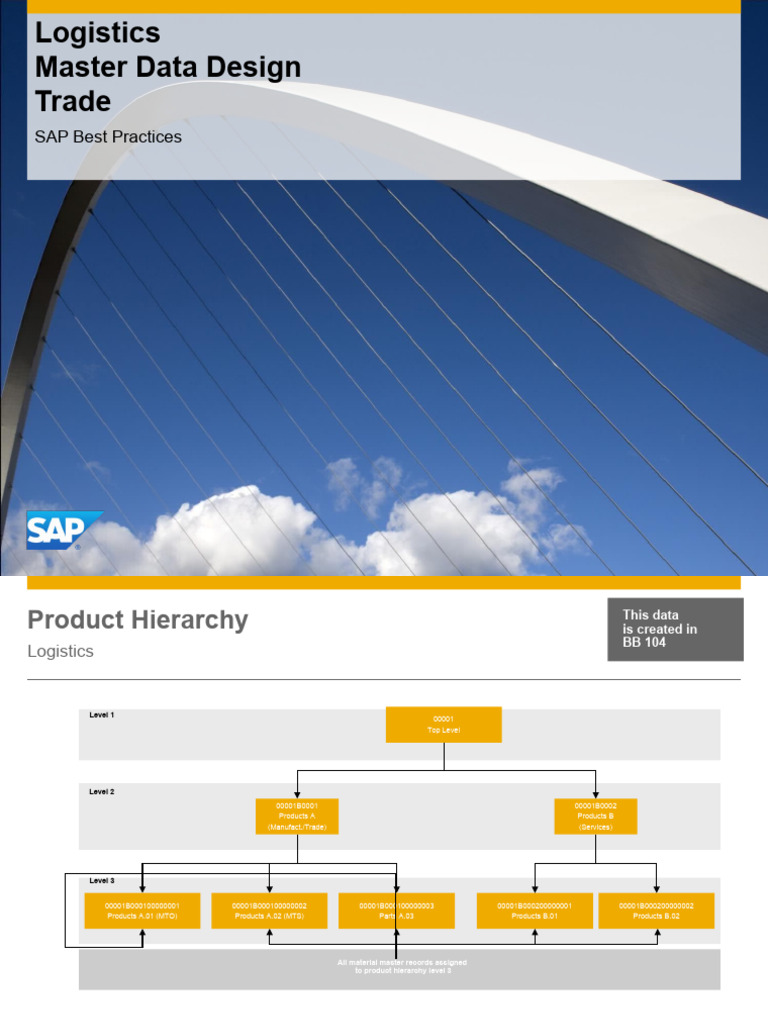 Master Data Scope Overview Trade BL ERP607 En | PDF | Business