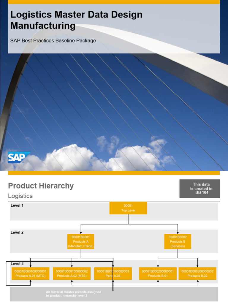 Master Data Scope Overview Man BL ERP607 en | PDF | Secondary Sector Of ...