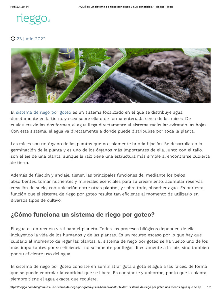 ¿Qué Es Un Sistema de Riego Por Goteo y Sus Beneficios - Rieggo - Blog | PDF | Riego | Agua