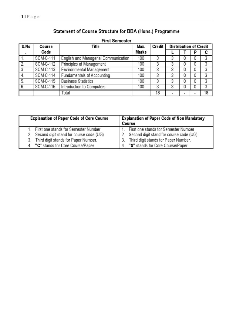 Syllabus BBA (Hons.) 2009 | PDF | Consumer Behaviour | Marketing Research