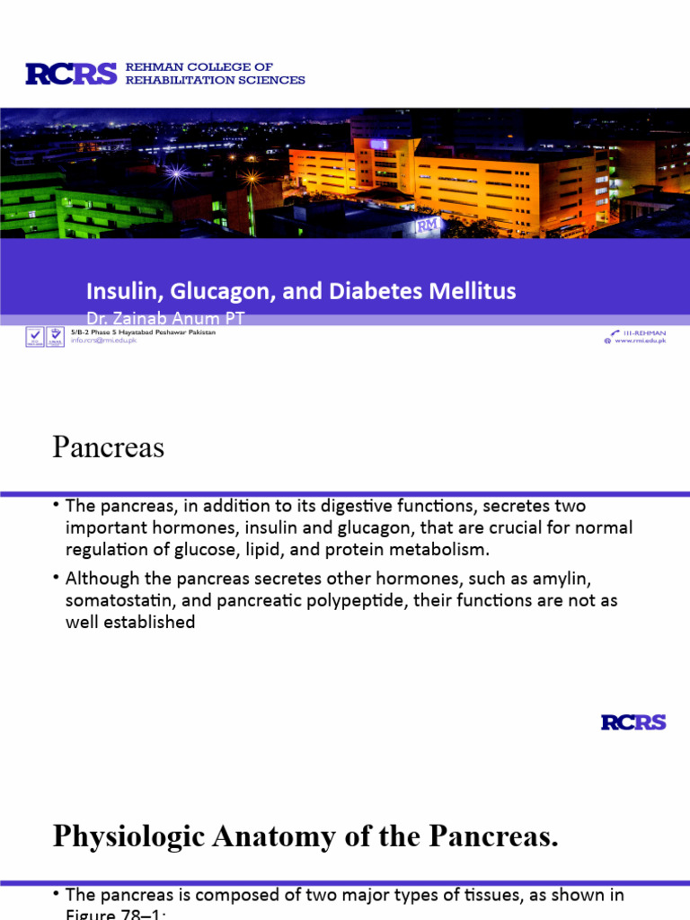 4 Insulin | PDF | Insulin | Pancreas