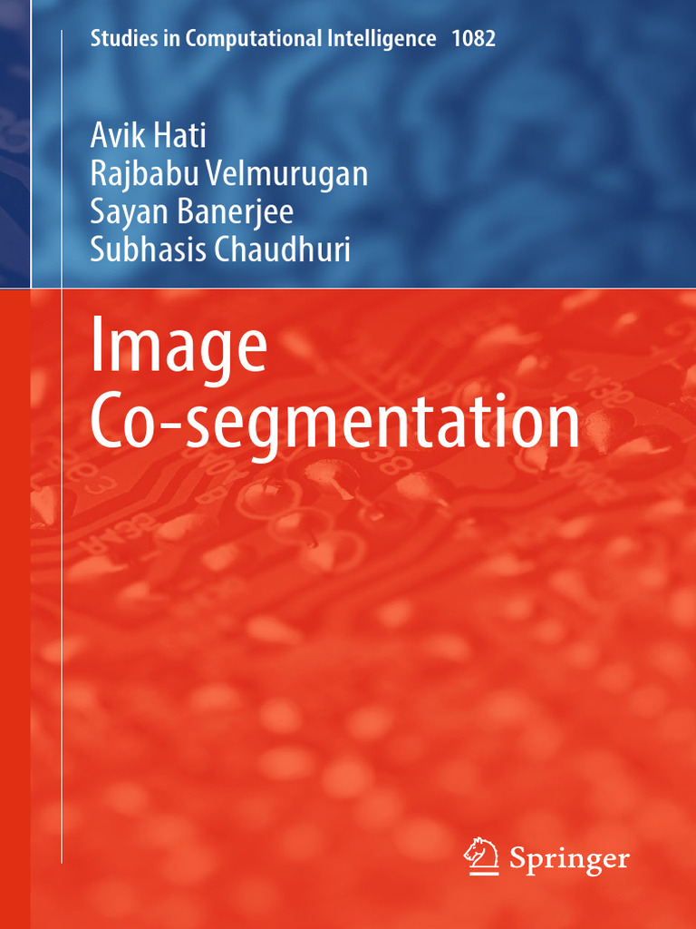 Image Co Segmentation Pdf Computers Technology And Engineering
