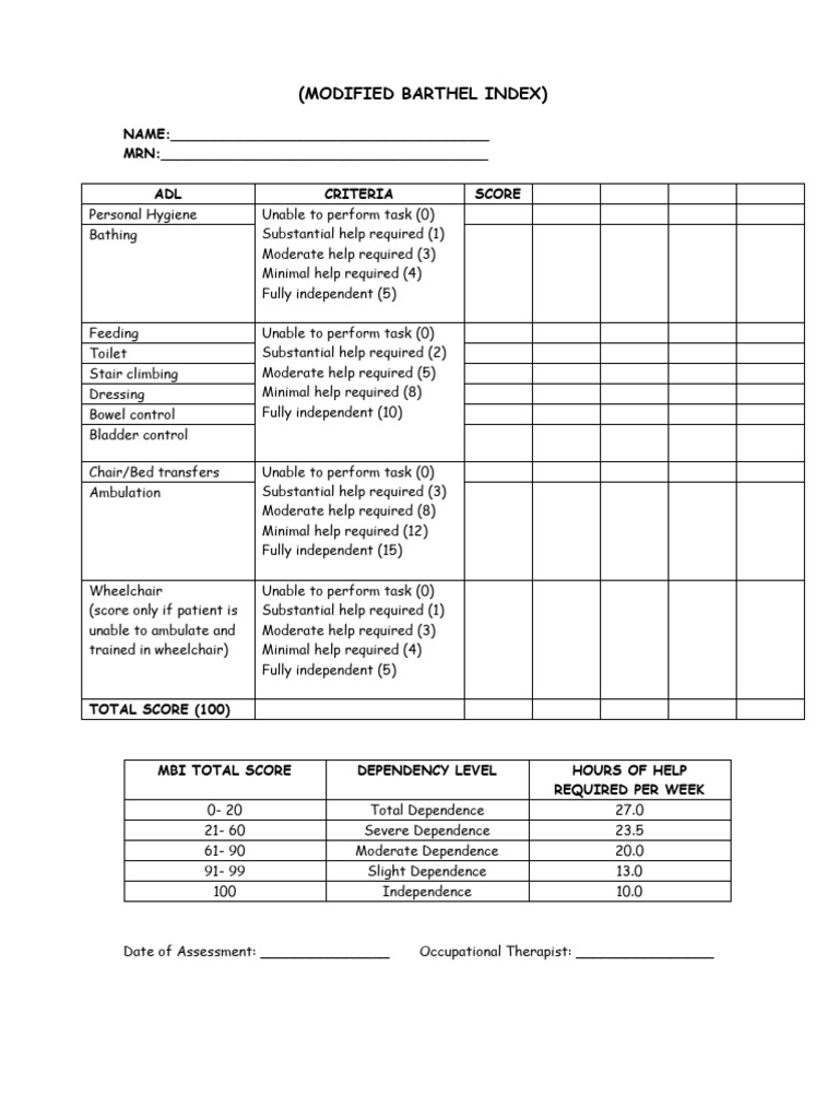 Modified Barthel Index | PDF