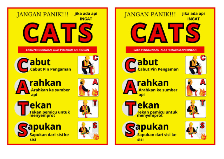 Cats Apar Fixx | PDF