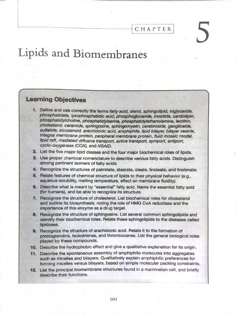 Ch5 LIPIDS | PDF