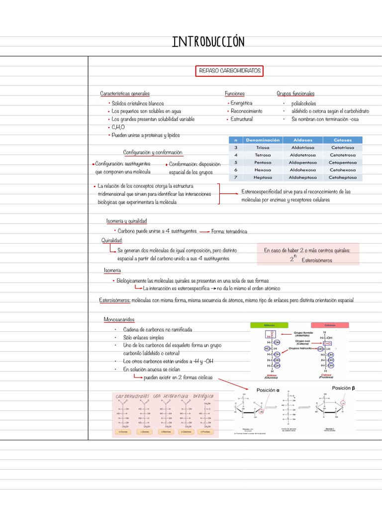 Resumen Bioqca Hasta Ppt7 | PDF | Carbohidratos | Lípido