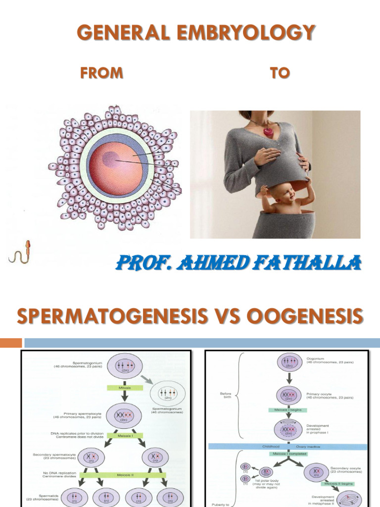Comprehensive Guide to Embryology | PDF