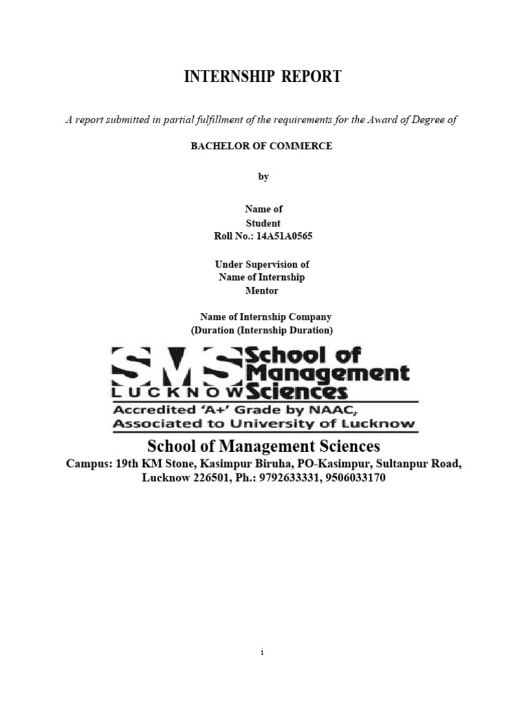 Internship Report Sample Format | PDF