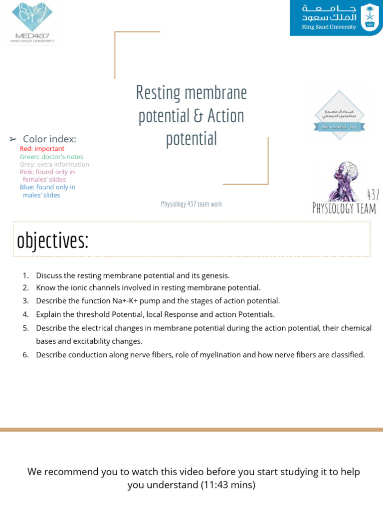 3,4 - Resting Membrane Potential & Action Potential | PDF | Action ...