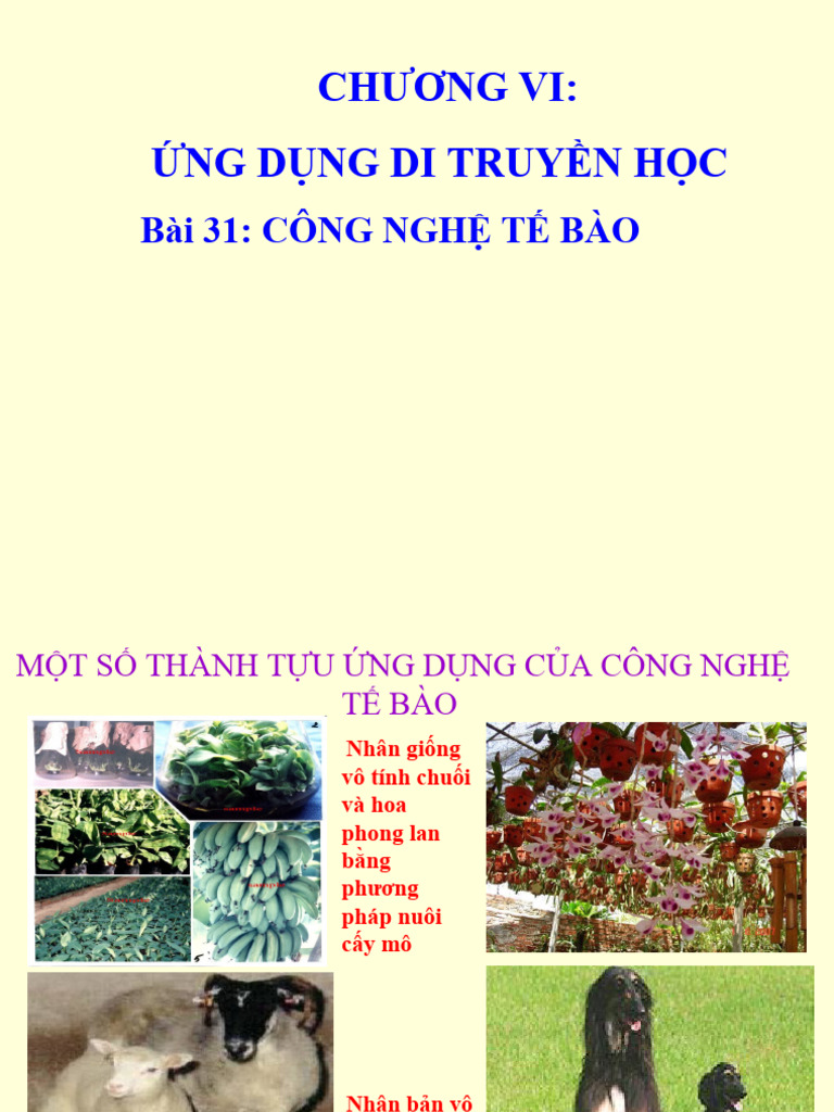 Data Hcmedu Thcsphandangluu Attachments 2018 4 Sinh Học 8-9 Bai 31 Sinh9 3420188 | PDF