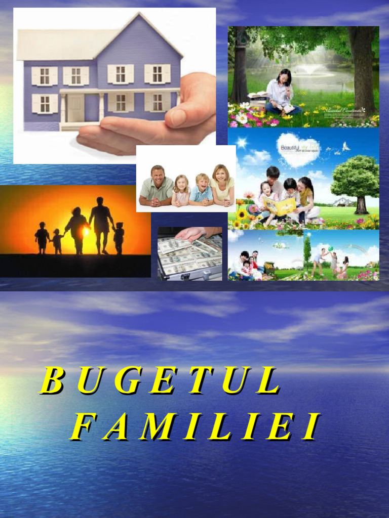 Bugetul Familiei Clasa A VIII-a | PDF