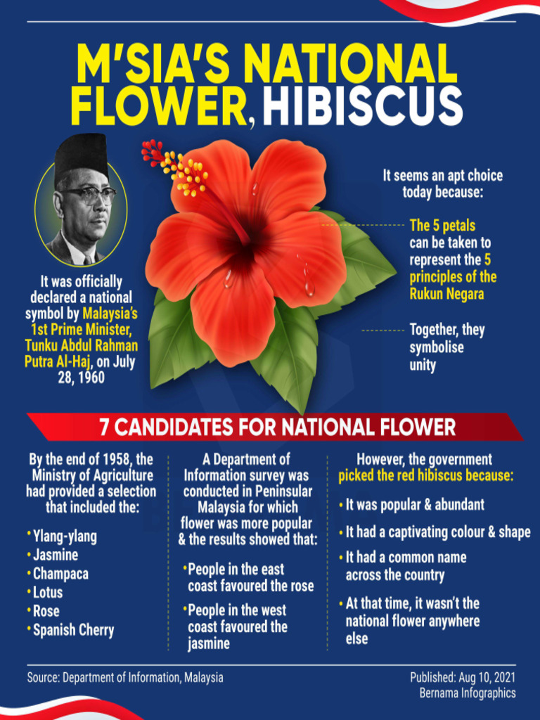 Bunga Kebangsaan | PDF