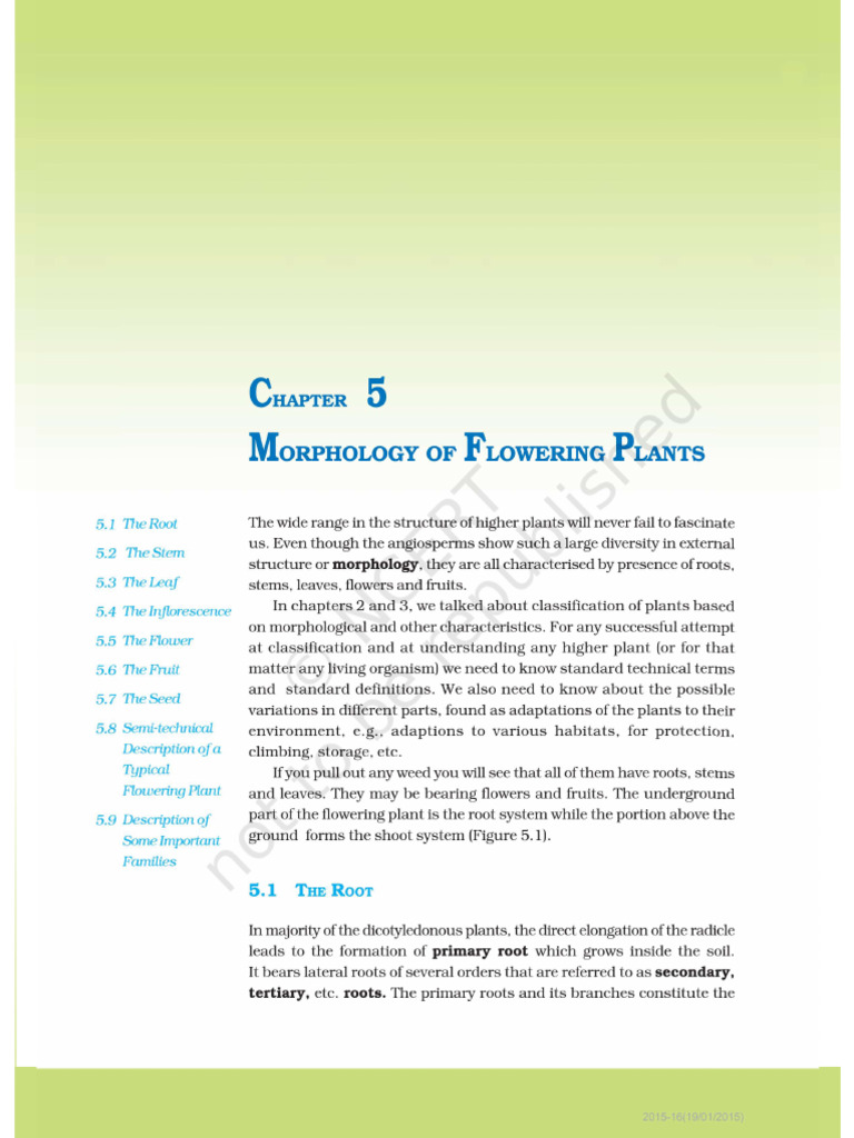 Dse V Sem Practical 2 Eng | PDF