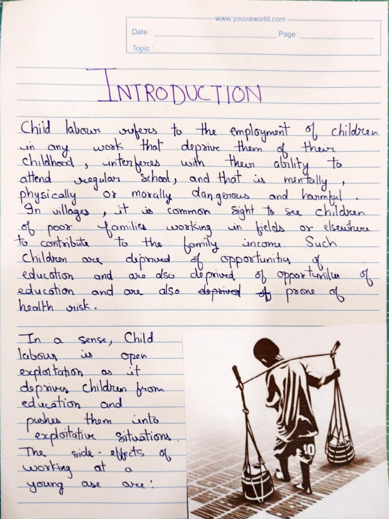 Project Sample Class 12 | PDF