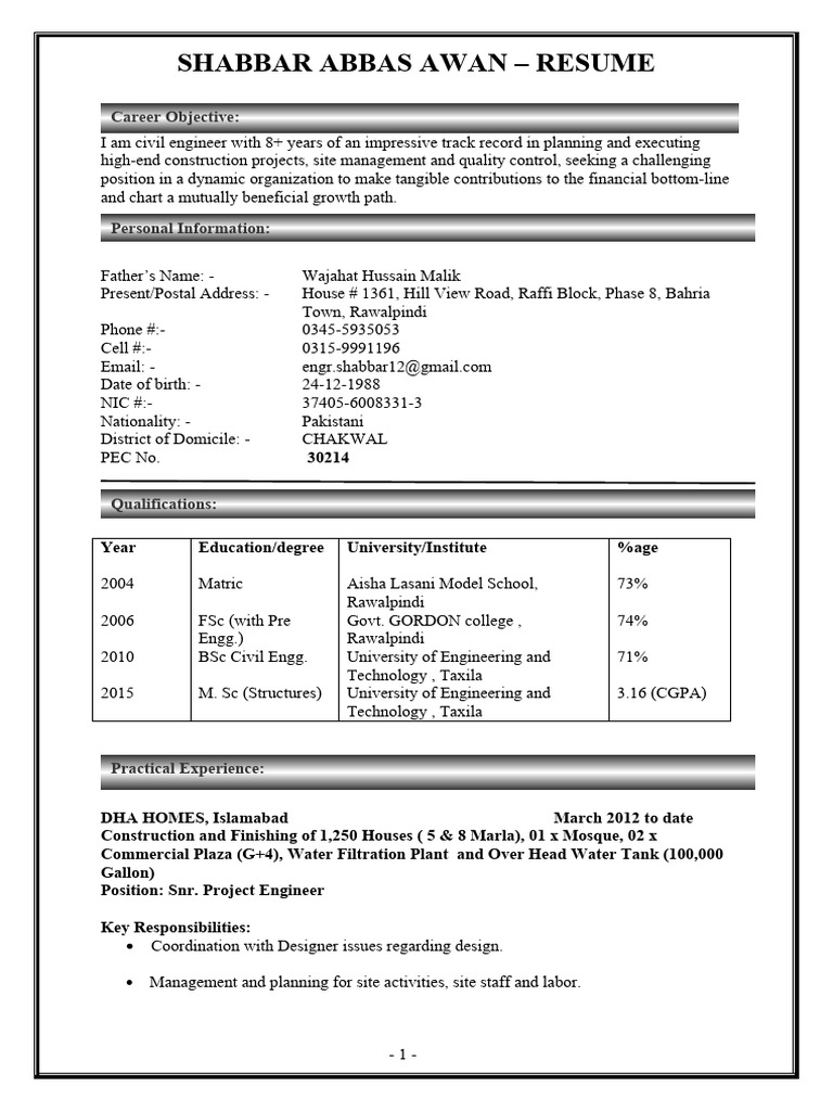 Shabbar Abbas-CV 18-08-2020 | PDF | Art