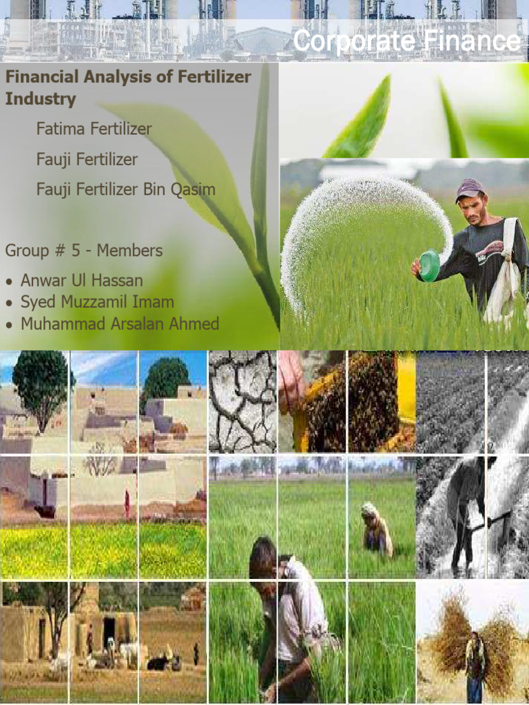 Fertilizer Sector Financial Analysis | PDF