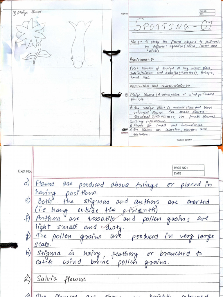 Spotting Bio Class XII | PDF