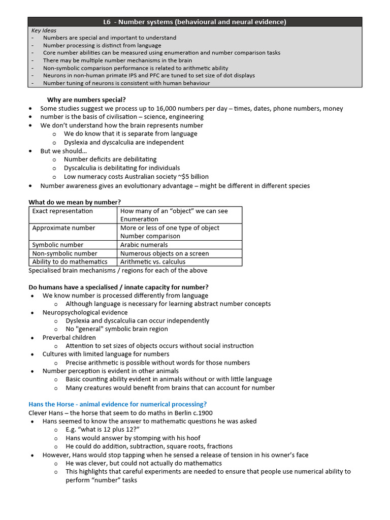 Numbers | PDF | Parietal Lobe | Brain