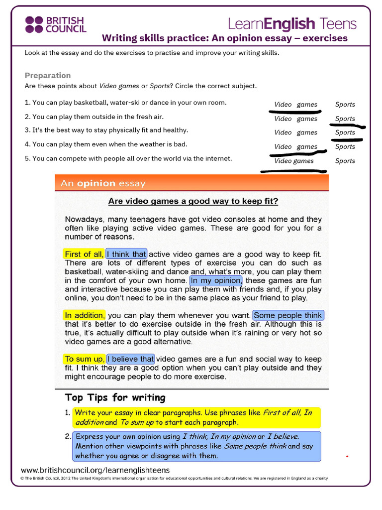 Opinion Essay Exercise | PDF