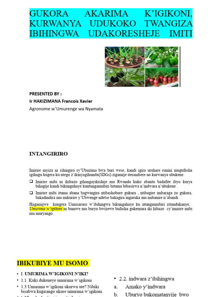 Gukora Akarima K'igikoni, Kurwanya Udukoko Twangiza Ibihingwa | PDF