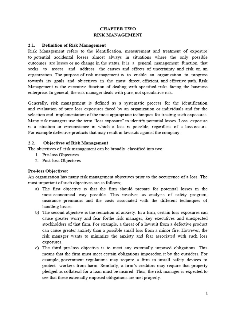 Understanding Risk Management Basics | PDF