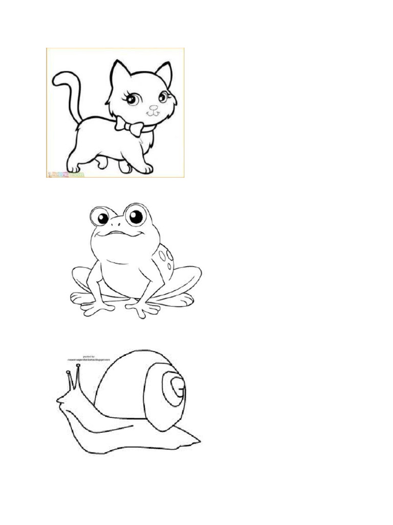 Siklus Hidup Kucing | PDF