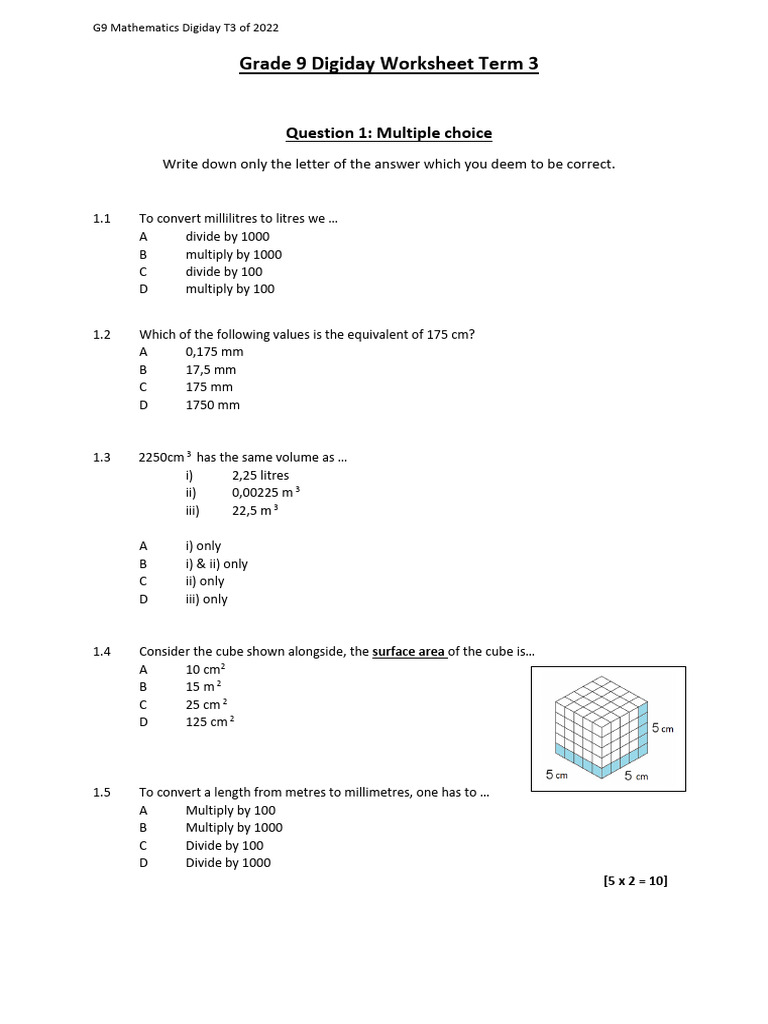 Grade 9 Digiday Worksheet Term 3 Math | PDF | Area | Volume