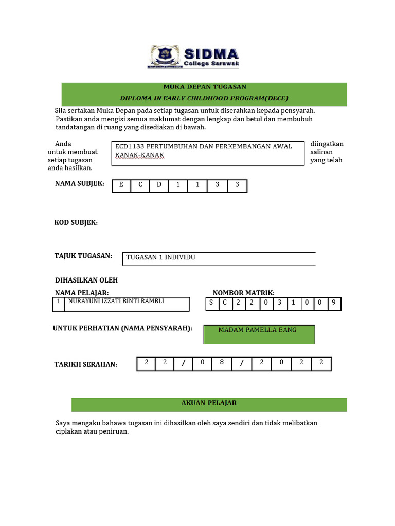Assignment 1 (MDM Pamella) | PDF