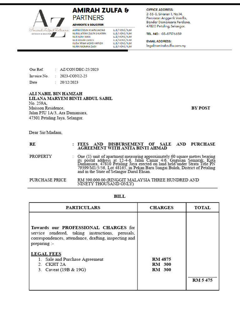 Professional Bill | PDF