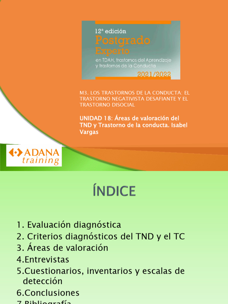 Áreas de Valoración TND I TC | PDF | Crecimiento personal y profesional