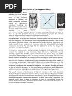 Peppered Moth Population Simulation Game | PDF