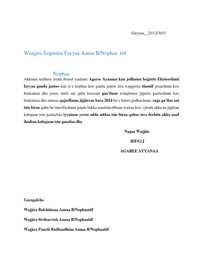 Waajjira Eegumsa Fayyaa Aanaa B | PDF