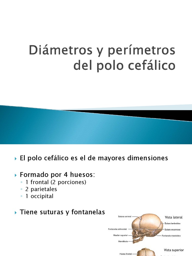 Dimensiones del Polo Cefálico Fetal | PDF