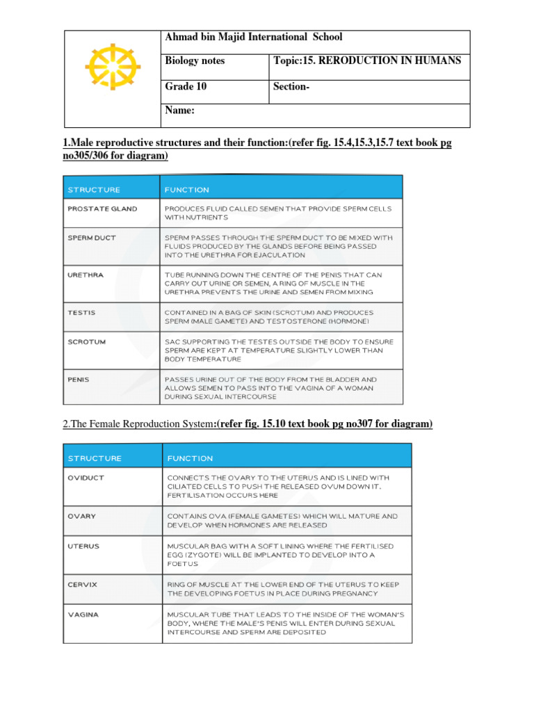 Reprodcution in Humans 3 | PDF | Menstrual Cycle | Placenta