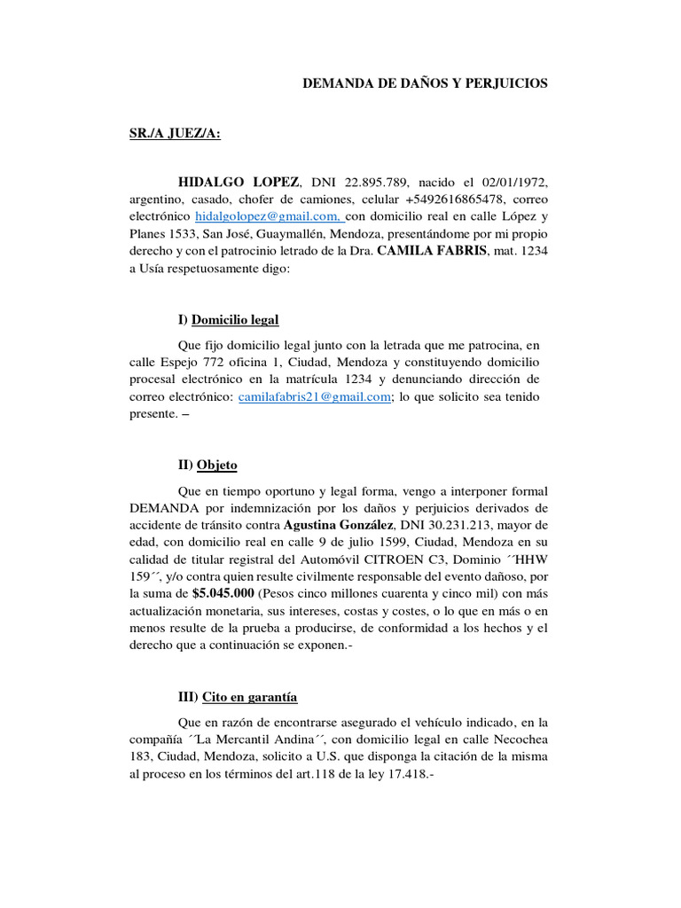 Demanda Procesal Modelo | PDF | Daños y perjuicios | Causalidad (Ley)