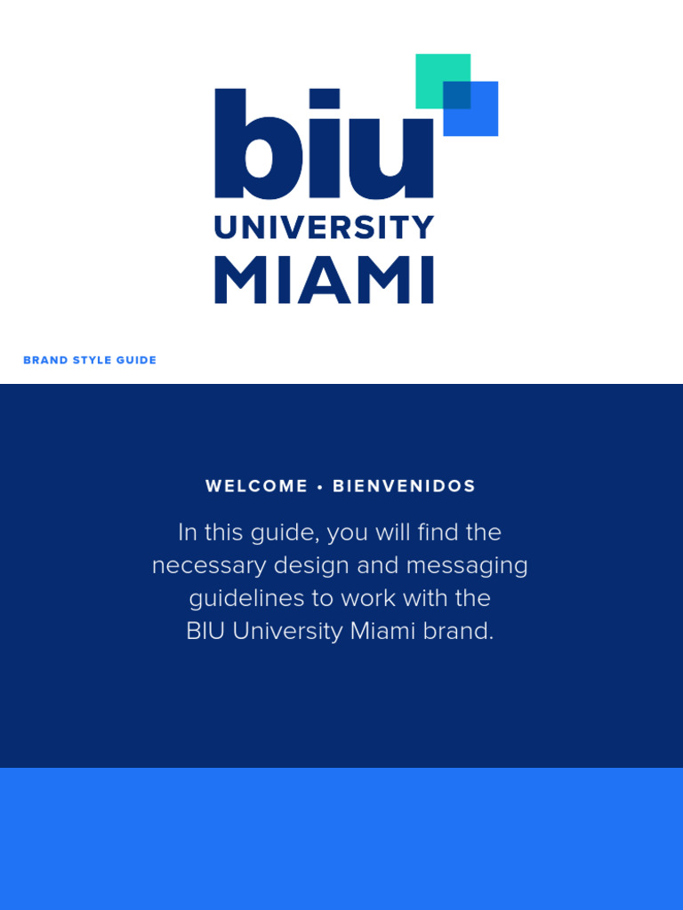 BIU Brand Guidelines 2020 | PDF