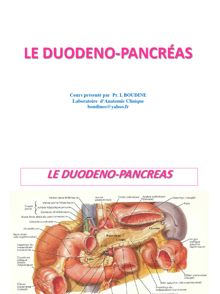 Anatomie du Duodéno-Pancréas | PDF | Bien-être