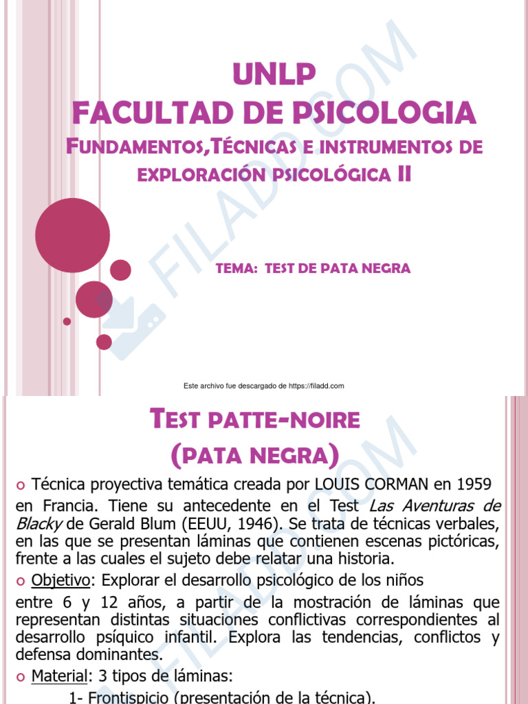 Test Patte Noire | PDF